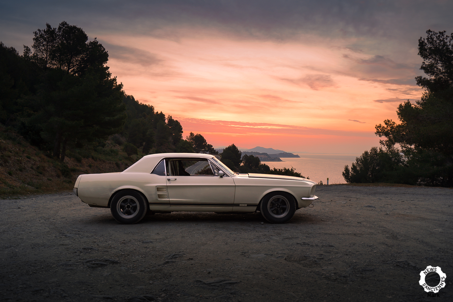 Essai d'une Mustang FIA de 1967 : "C'est du brutal" - News d'Anciennes