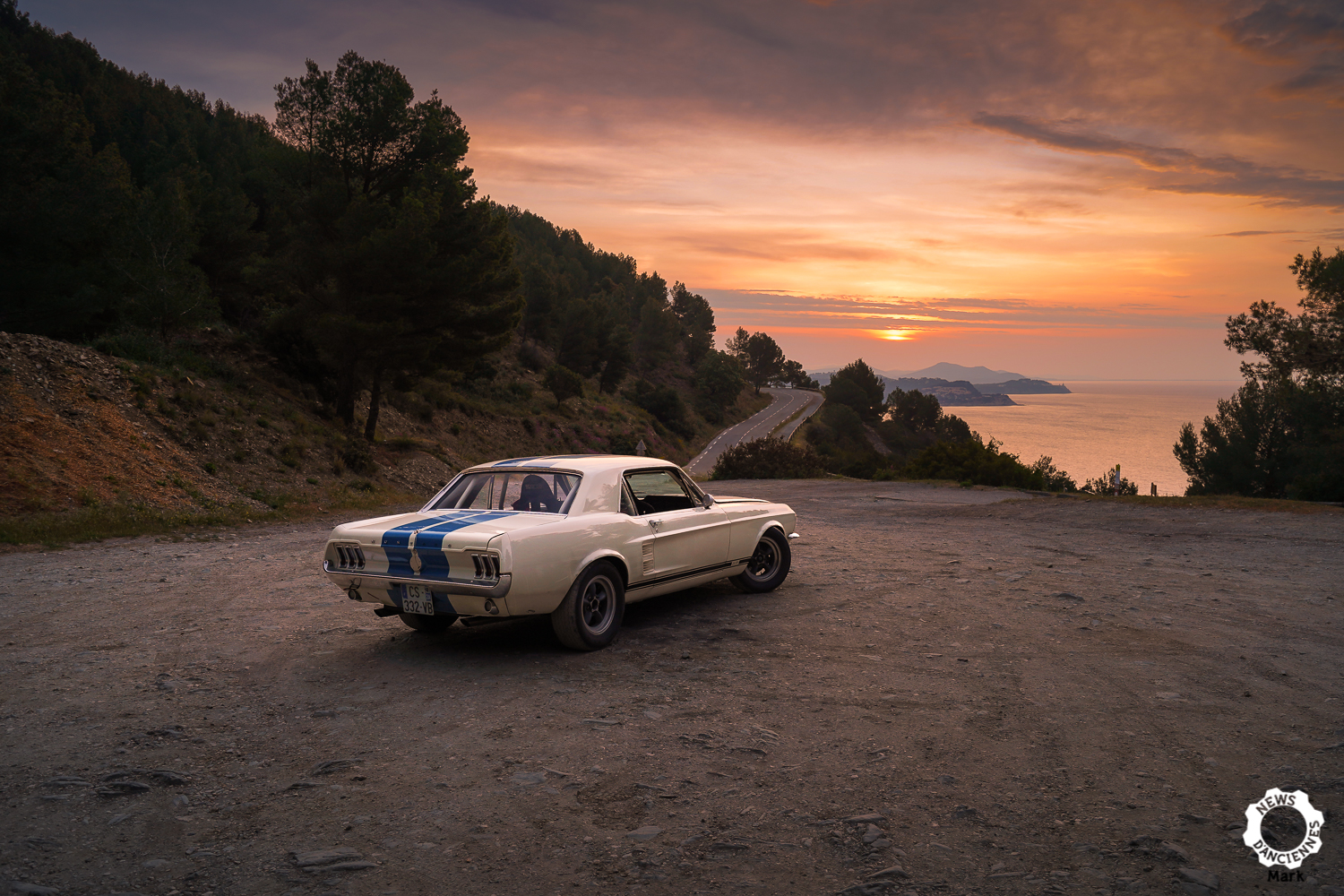 Essai d'une Mustang FIA de 1967 : "C'est du brutal" - News d'Anciennes