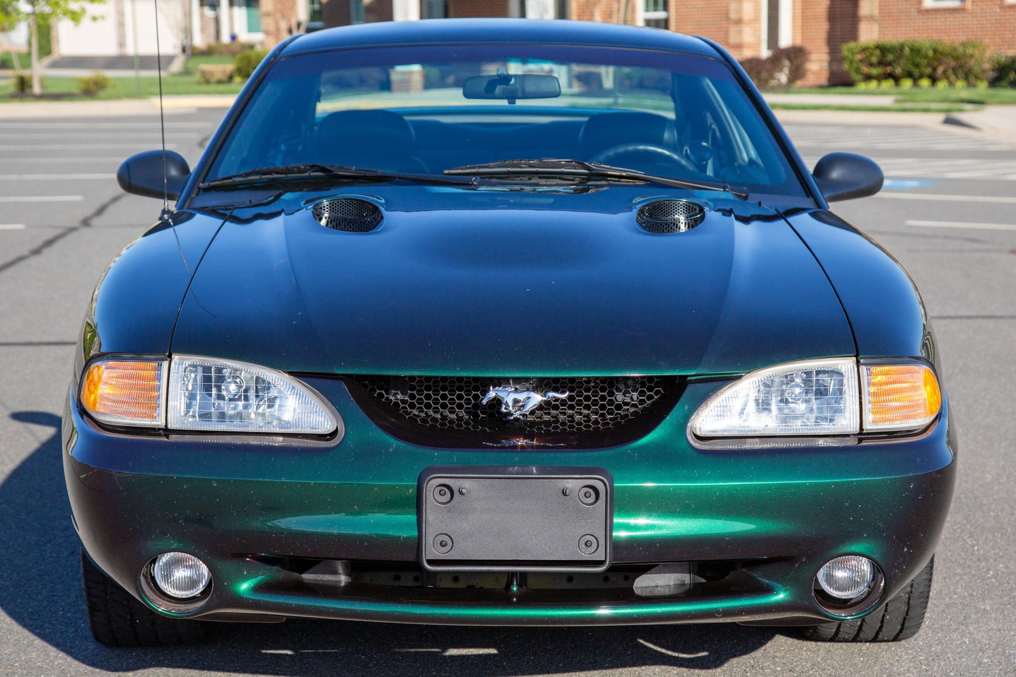 Ford Mustang SVT Mystic Cobra, invasion fiscale - News d'Anciennes
