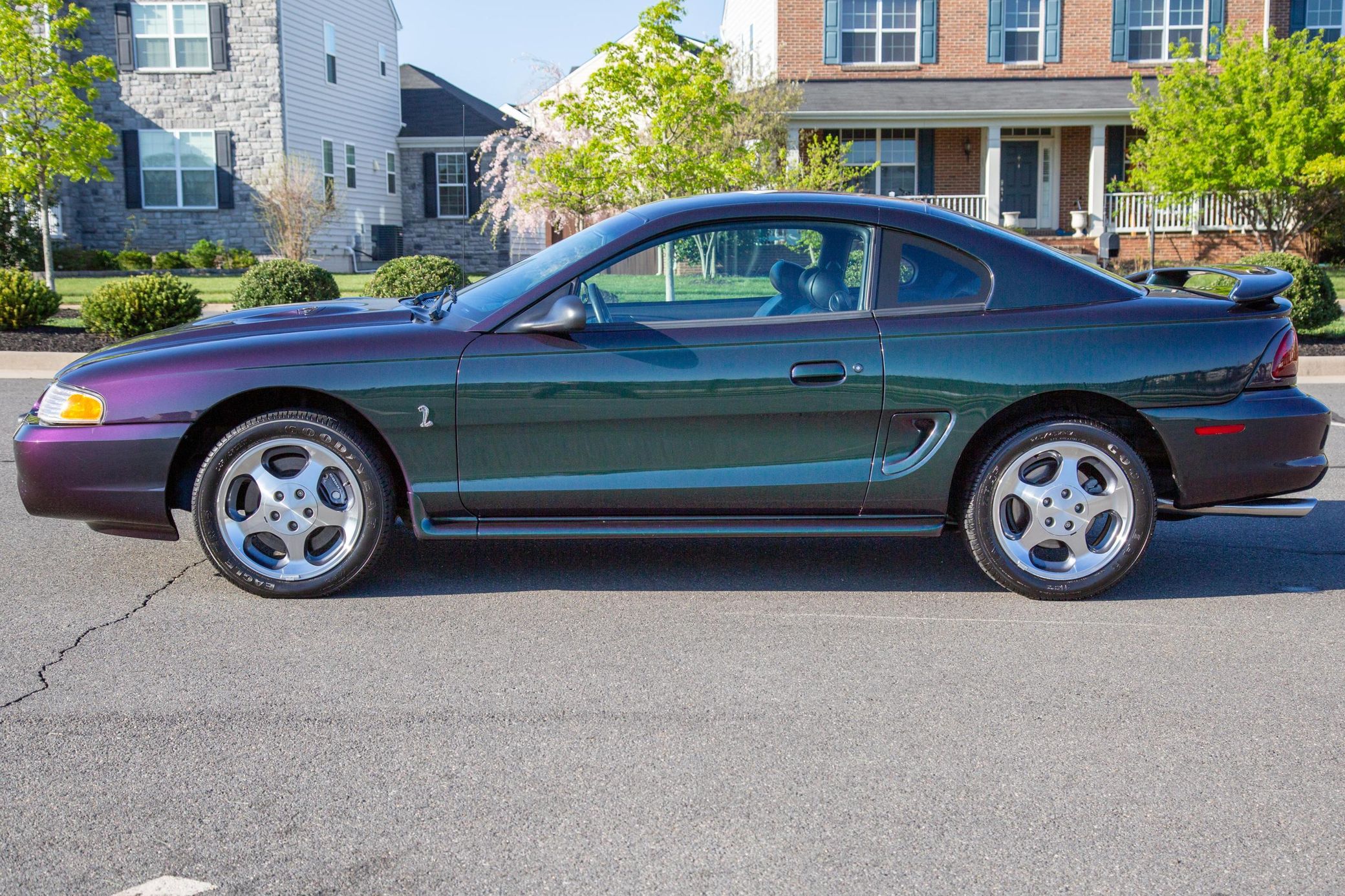 Ford Mustang SVT Mystic Cobra, invasion fiscale - News d'Anciennes